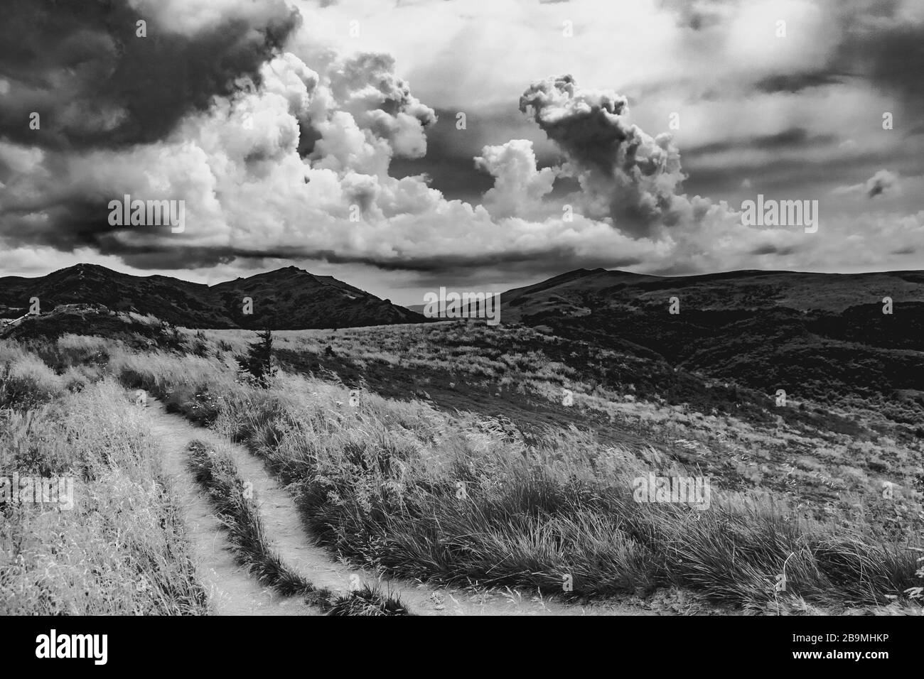 Road from Widełki through Bukowe Berdo and Tarnica to Wołosate in ...