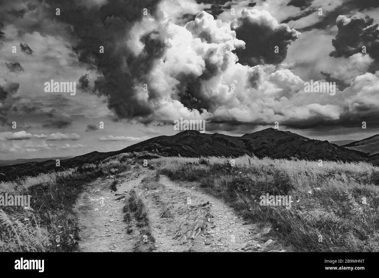 Road from Widełki through Bukowe Berdo and Tarnica to Wołosate in ...
