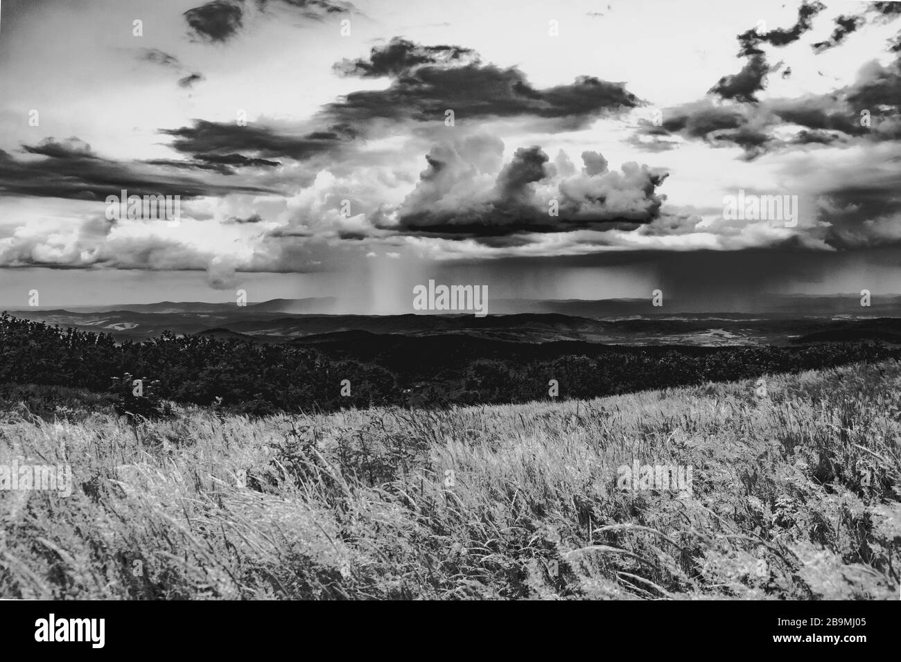 Widelki Black and White Stock Photos & Images - Alamy