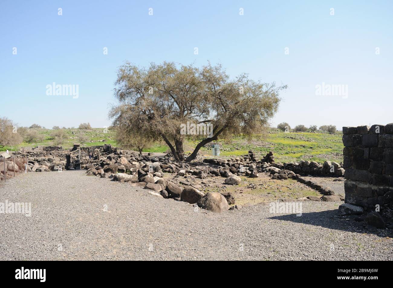 Korazim National Park. Korazim or Chorazin was an ancient village in ...