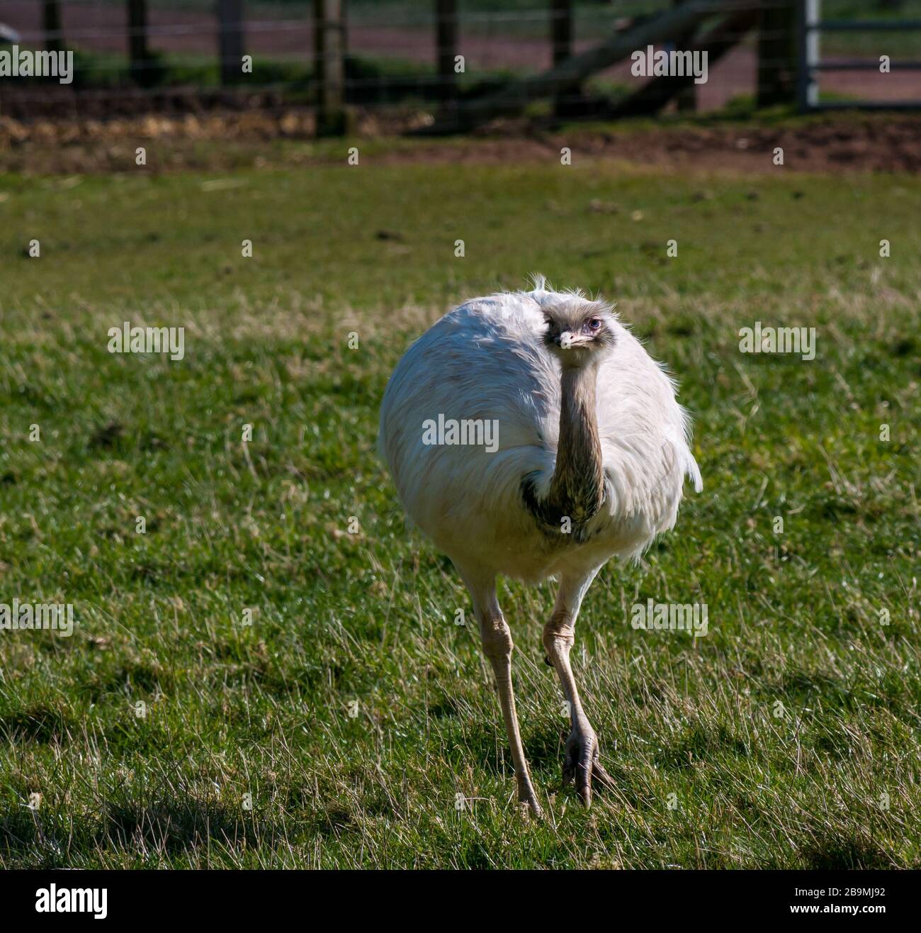 White american family hi-res stock photography and images - Alamy
