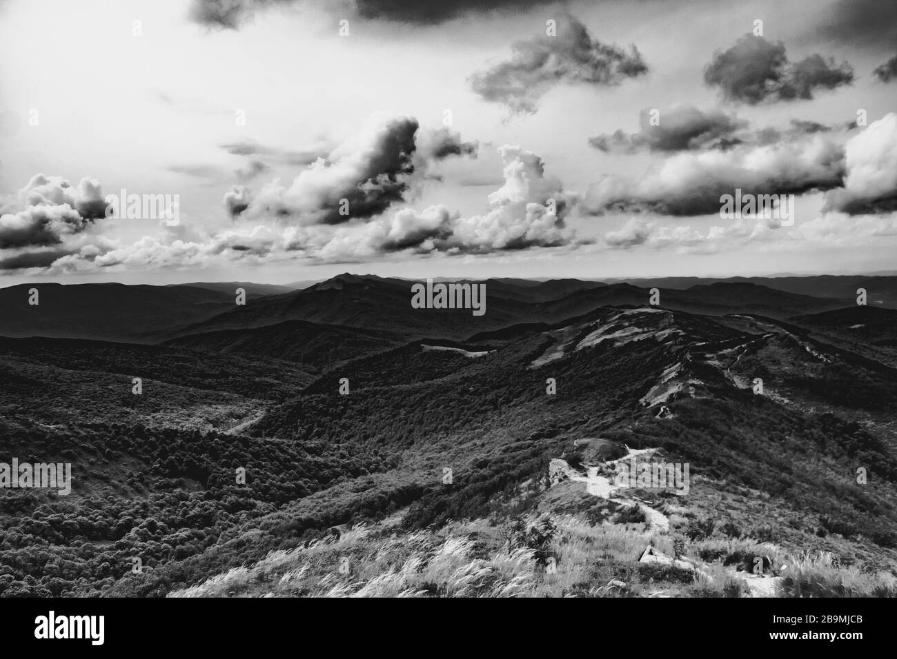 Road from Widełki through Bukowe Berdo and Tarnica to Wołosate in ...