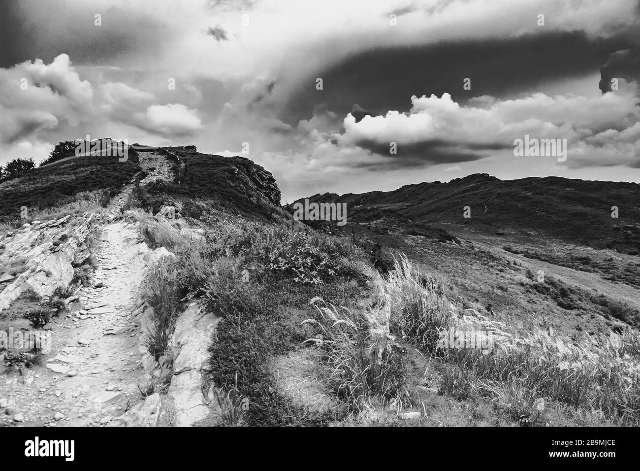 Road from Widełki through Bukowe Berdo and Tarnica to Wołosate in ...