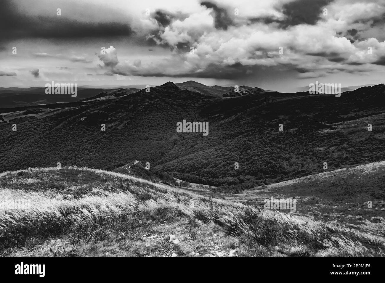 Road from Widełki through Bukowe Berdo and Tarnica to Wołosate in ...