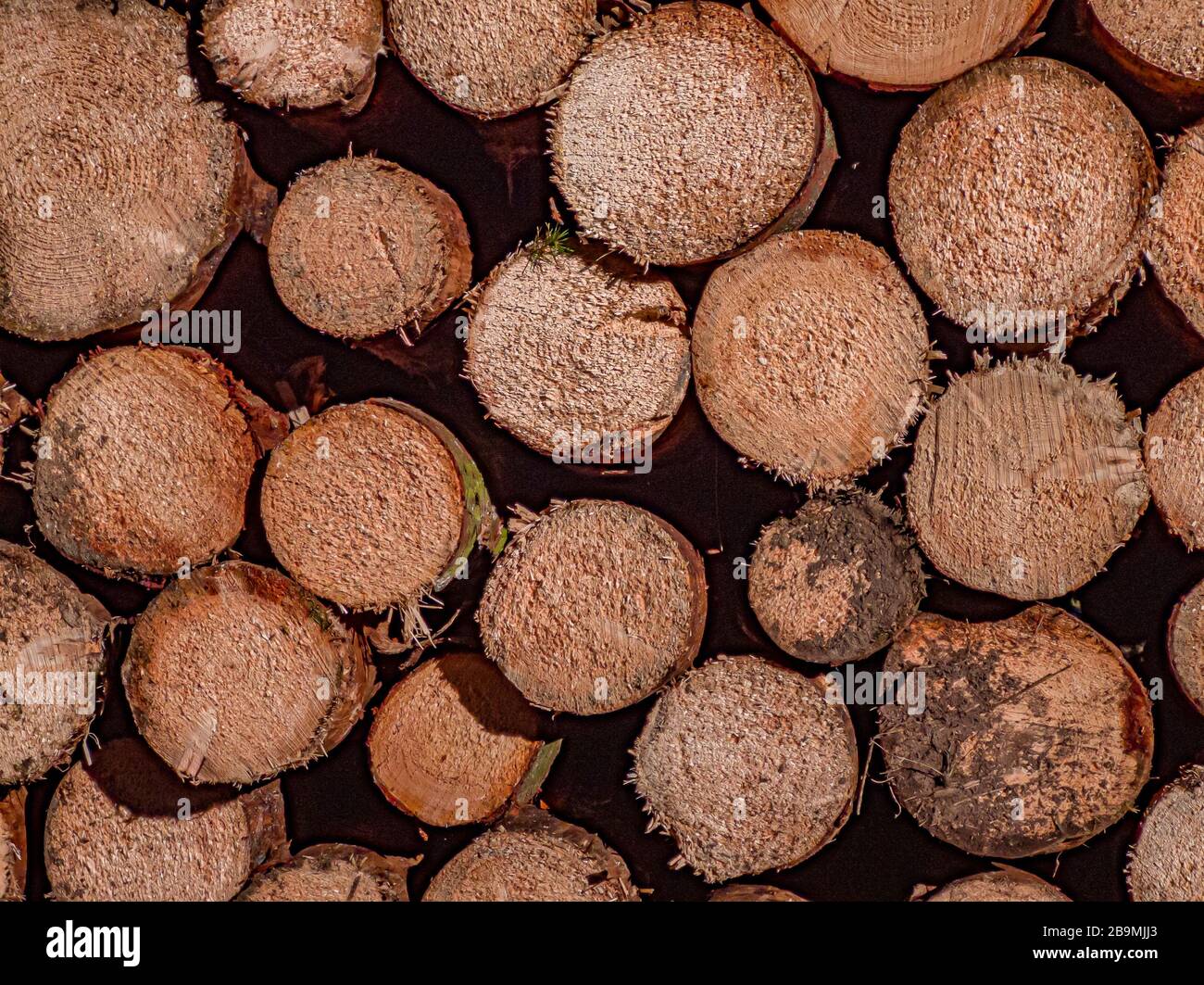 Round lumber hi-res stock photography and images - Alamy