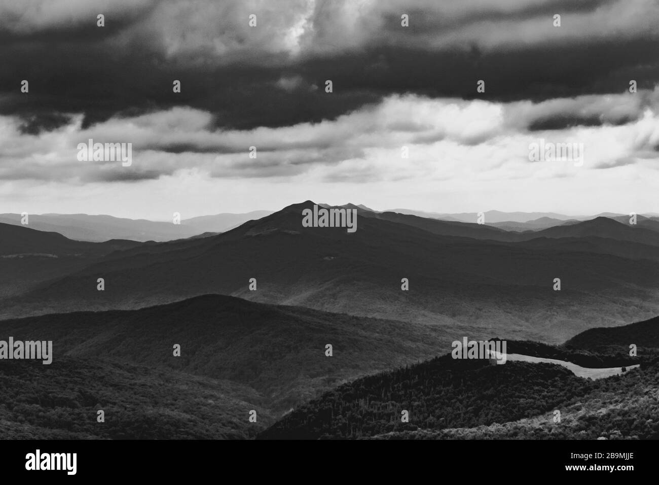 Road from Widełki through Bukowe Berdo and Tarnica to Wołosate in ...