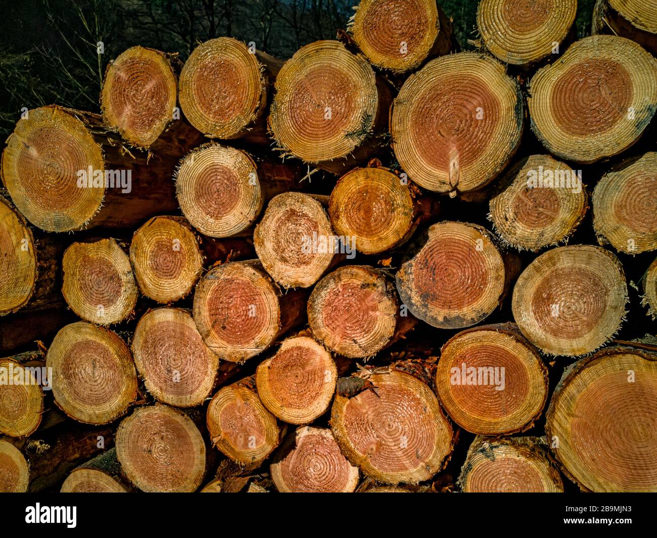 Woodpile texture hi-res stock photography and images - Alamy