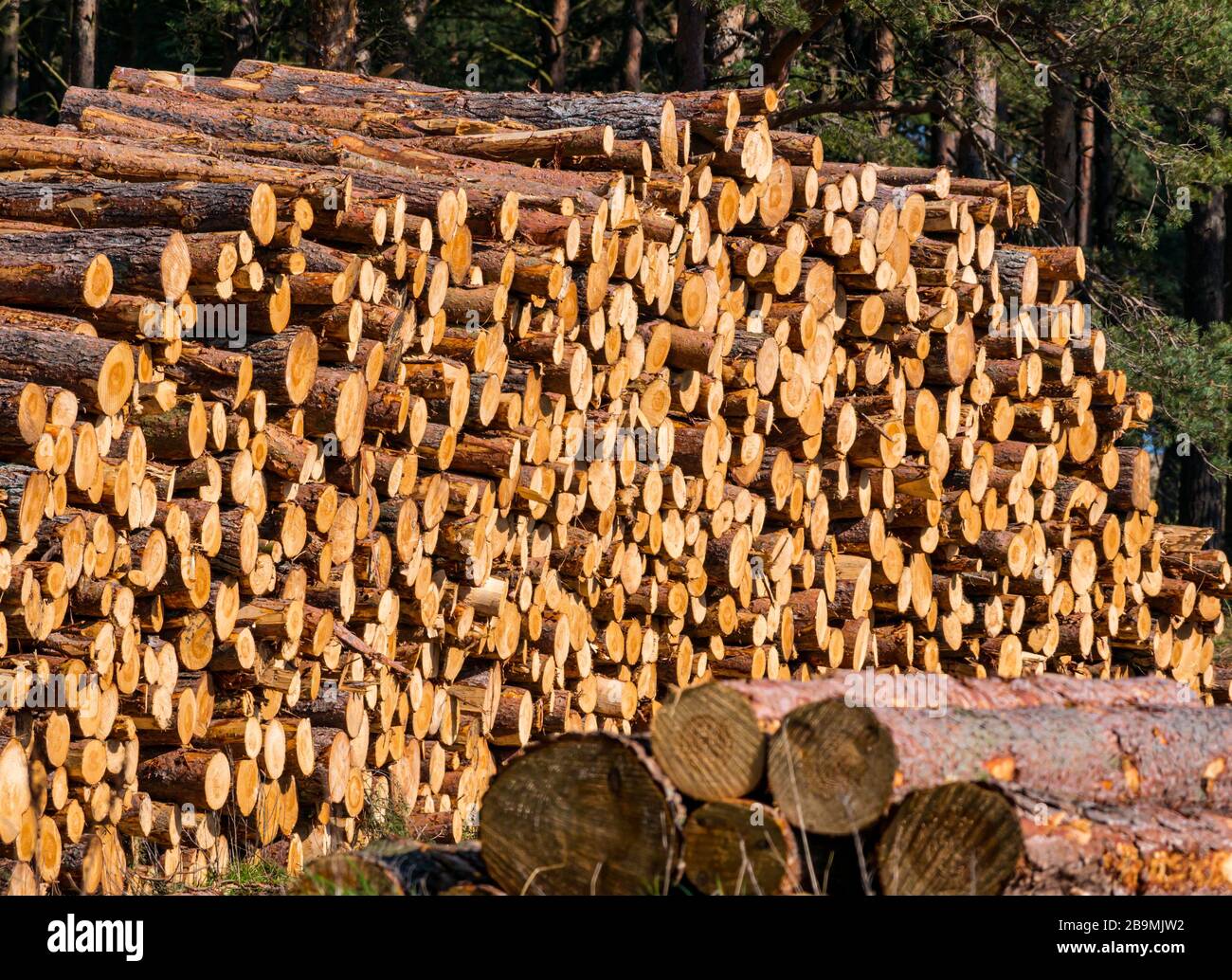 Country pile hi-res stock photography and images - Alamy