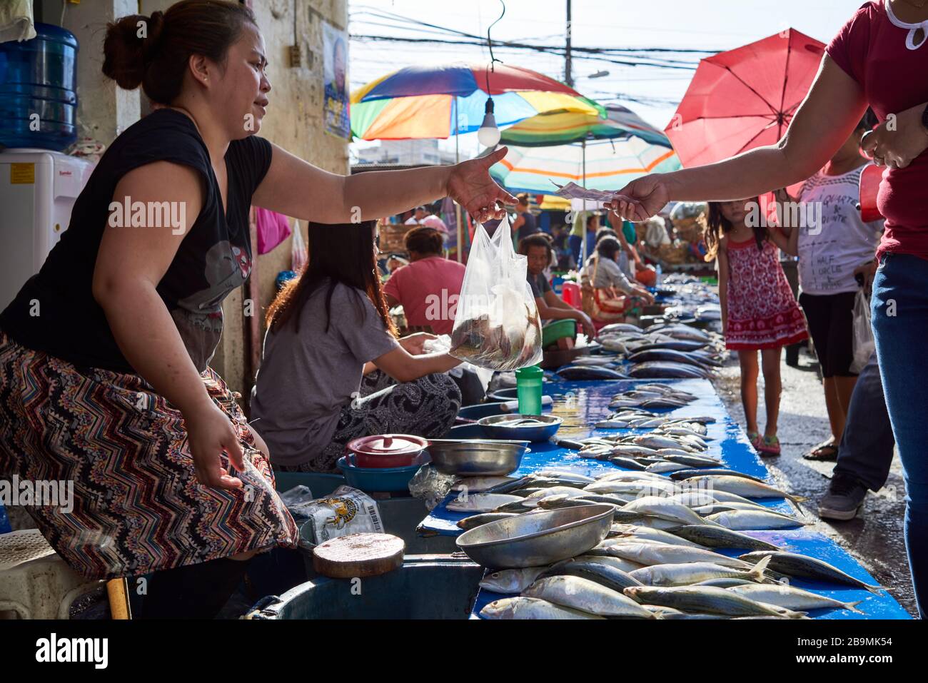 Woman selling fish in a stand in the streets of the Carbon public ...