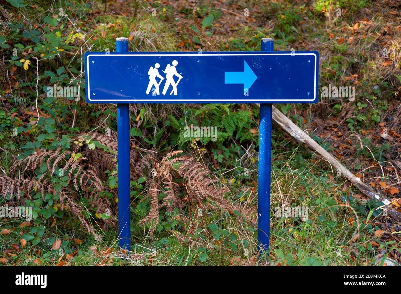 Trail direction sign hi-res stock photography and images - Alamy