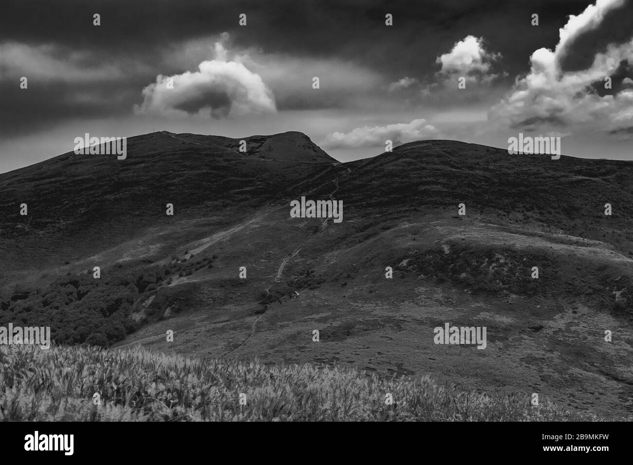 Road from Widełki through Bukowe Berdo and Tarnica to Wołosate in ...