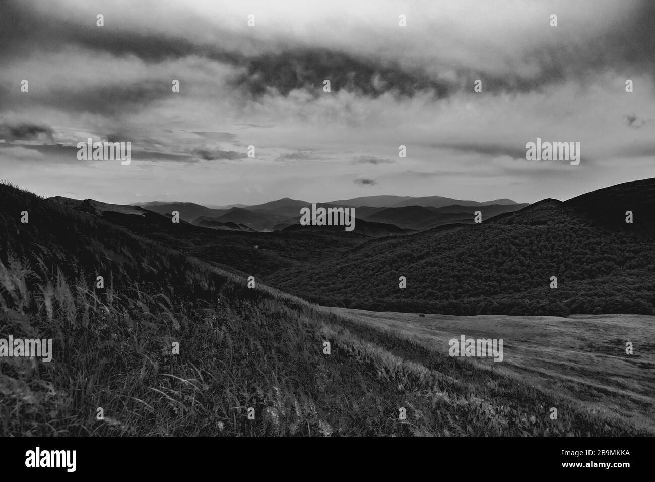 Road from Widełki through Bukowe Berdo and Tarnica to Wołosate in ...