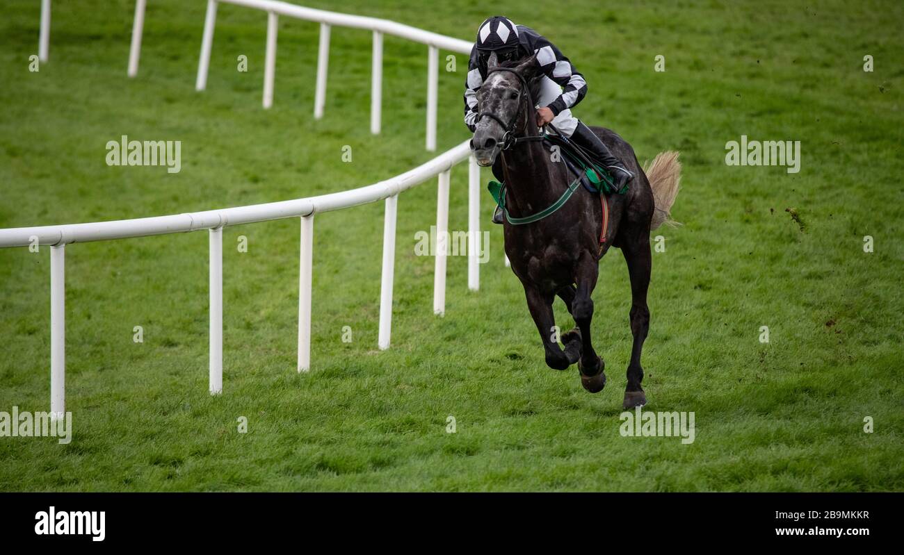 Single race horse and jockey racing around the final turn towards the ...