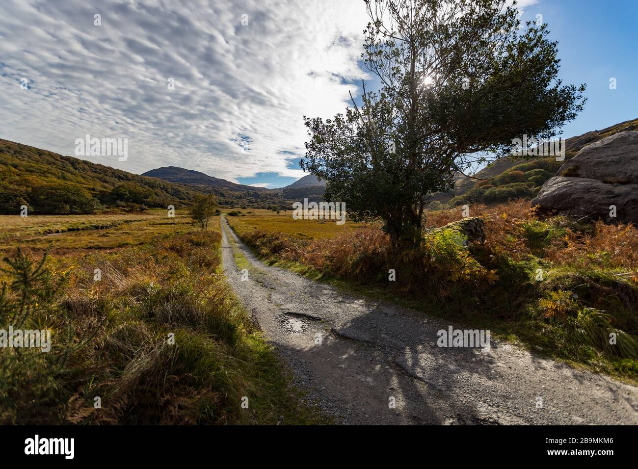 Old rural roadway through Killarney national park Stock Photo - Alamy