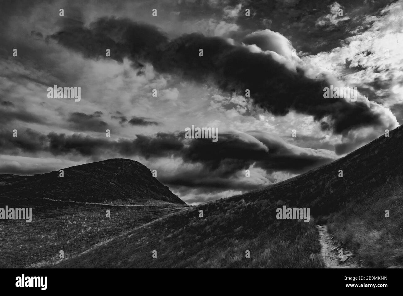 Road from Widełki through Bukowe Berdo and Tarnica to Wołosate in ...