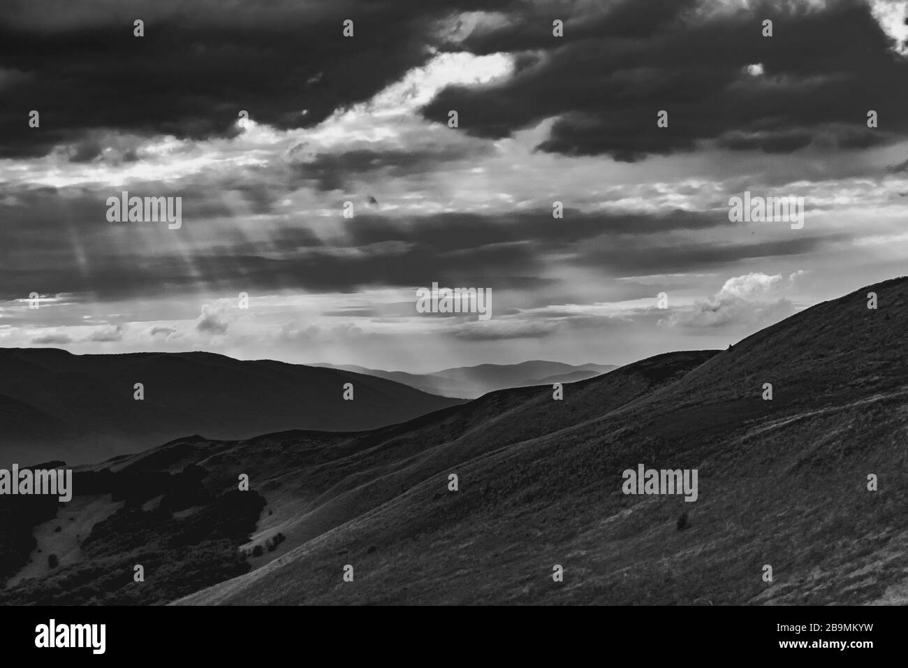 Road from Widełki through Bukowe Berdo and Tarnica to Wołosate in ...