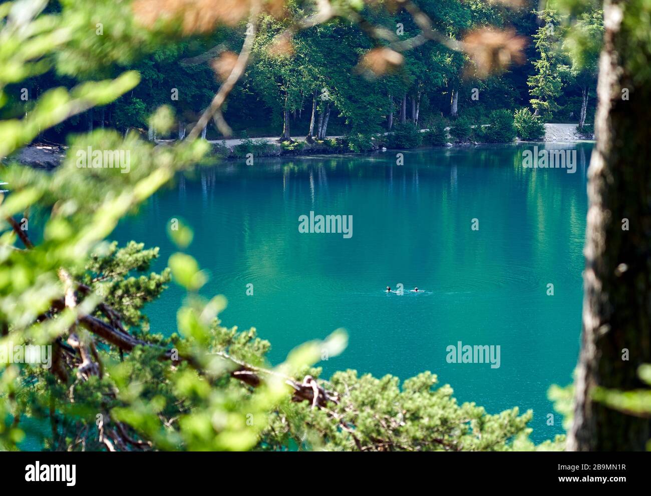 Alpsee bavaria hi-res stock photography and images - Alamy