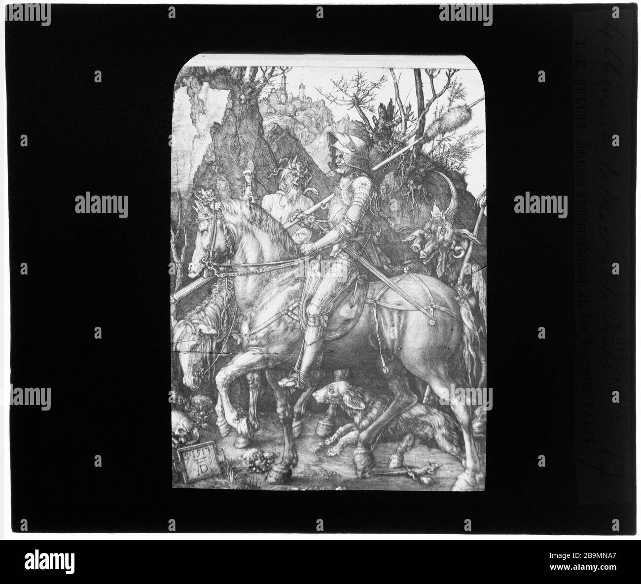 Chevalier cheval hi-res stock photography and images - Alamy