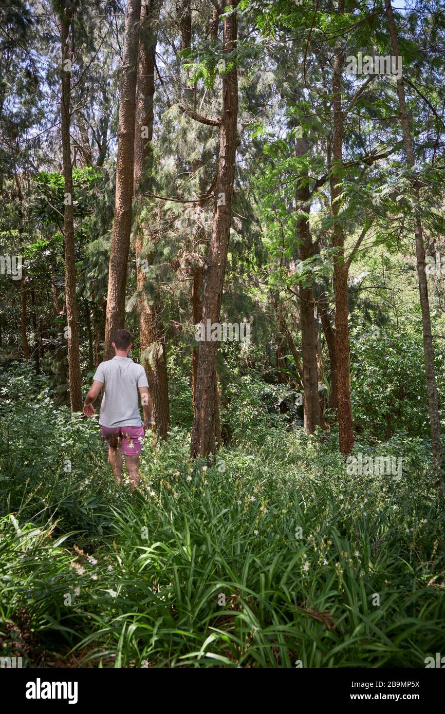 a white caucasian man walking a trekking trail between the trees and ...