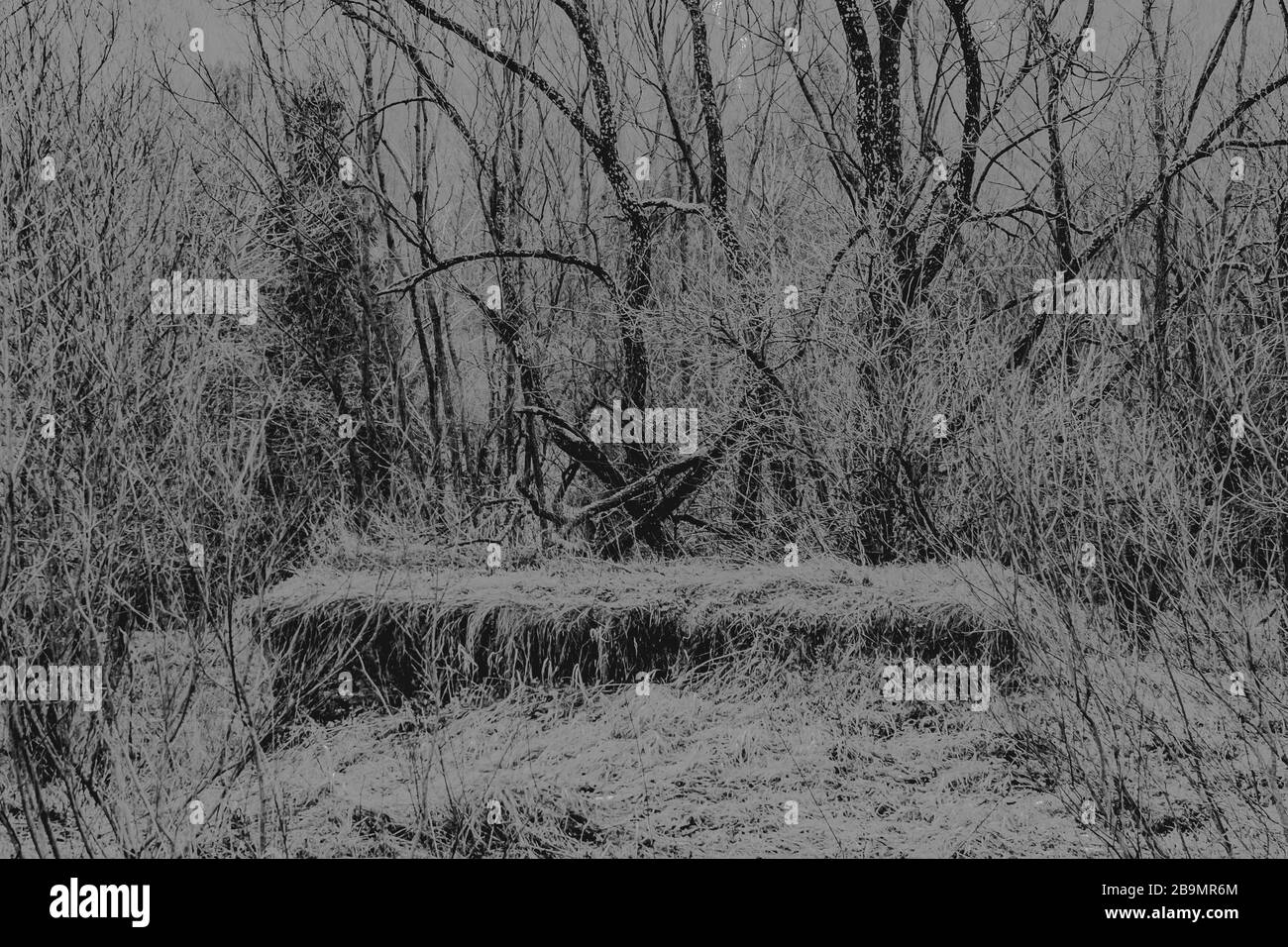 Kalnica in the Bieszczady Mountains in Poland Stock Photo - Alamy