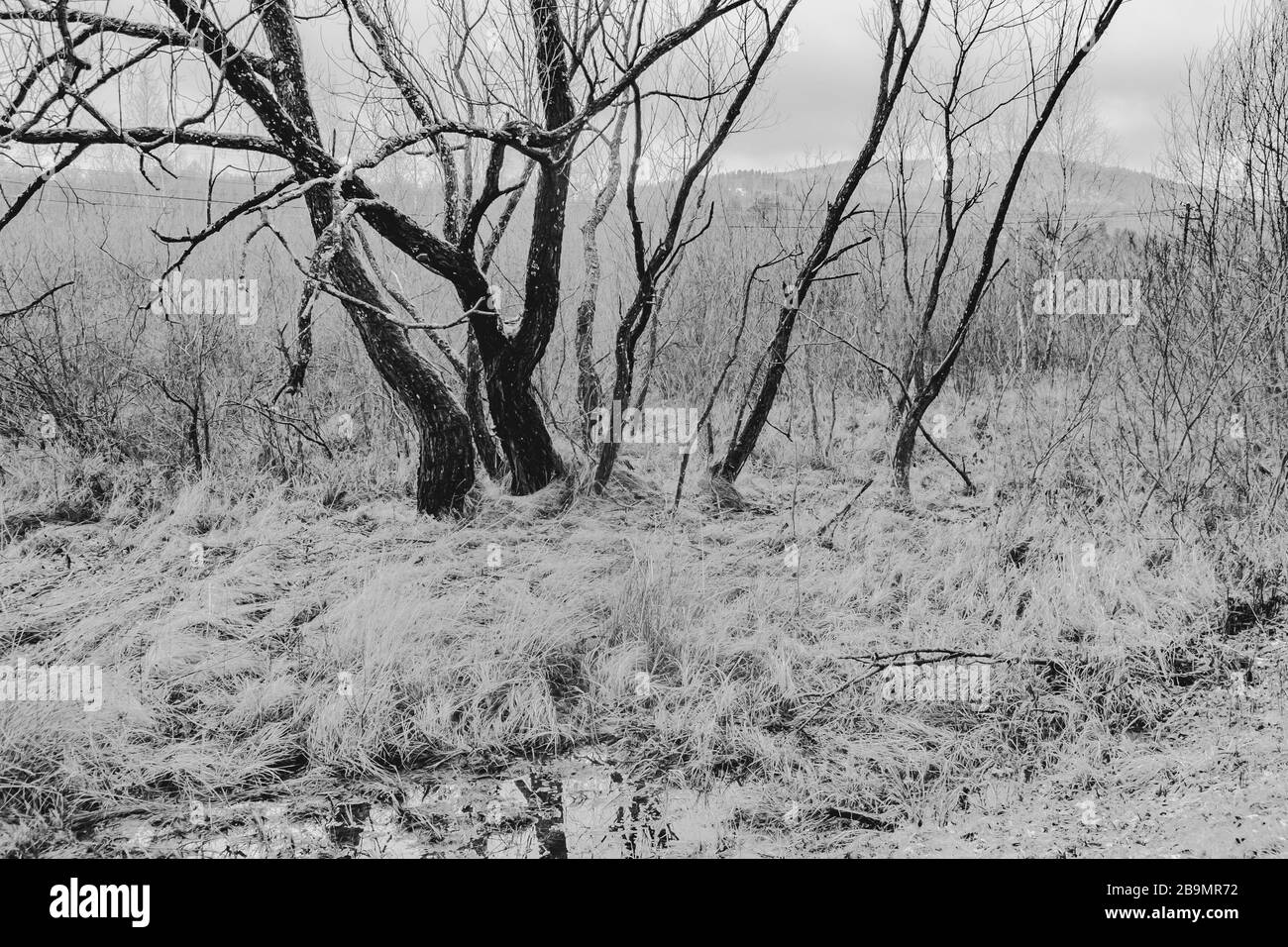 Kalnica in the Bieszczady Mountains in Poland Stock Photo - Alamy