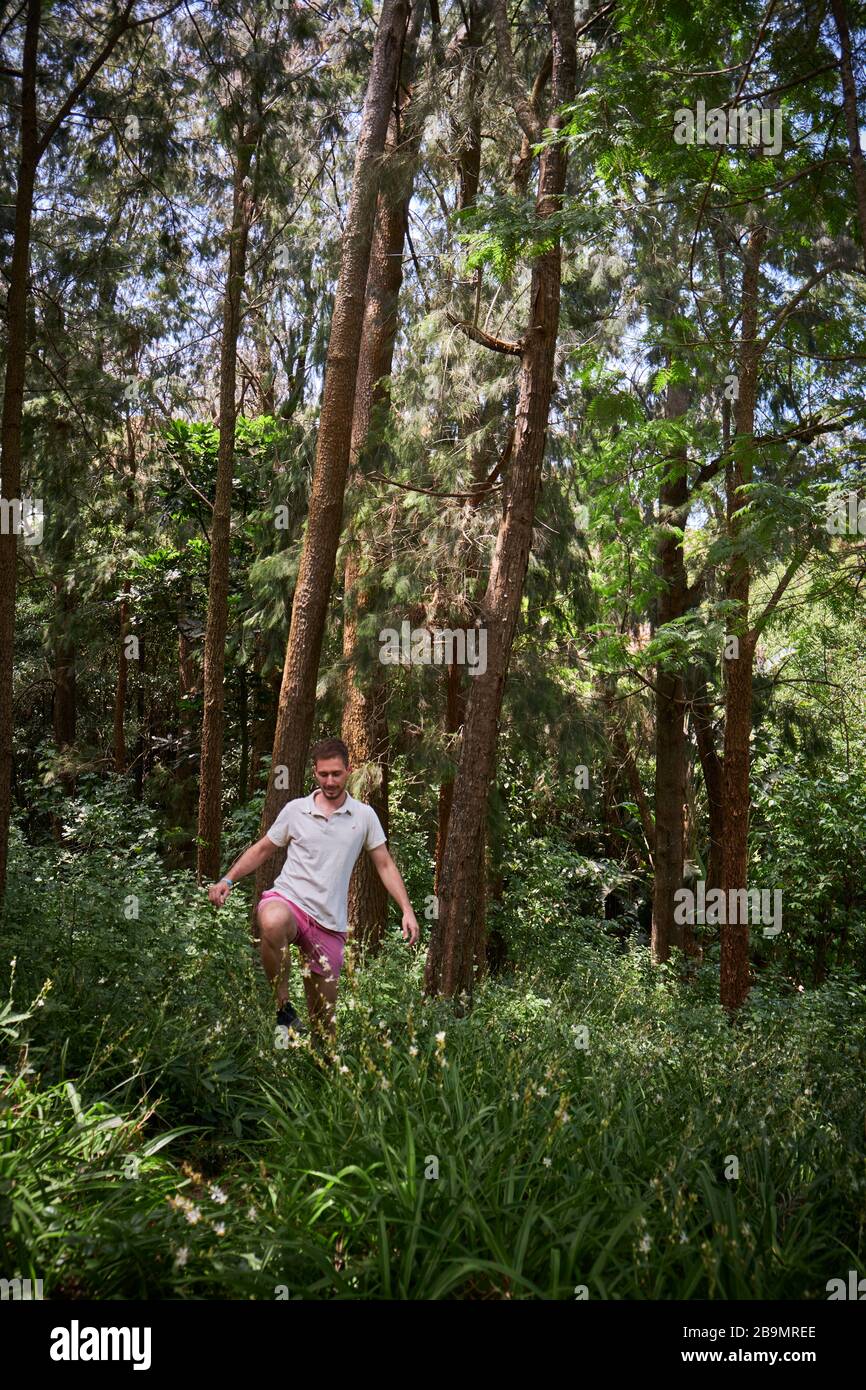 a white caucasian man walking a trekking trail between the trees and ...