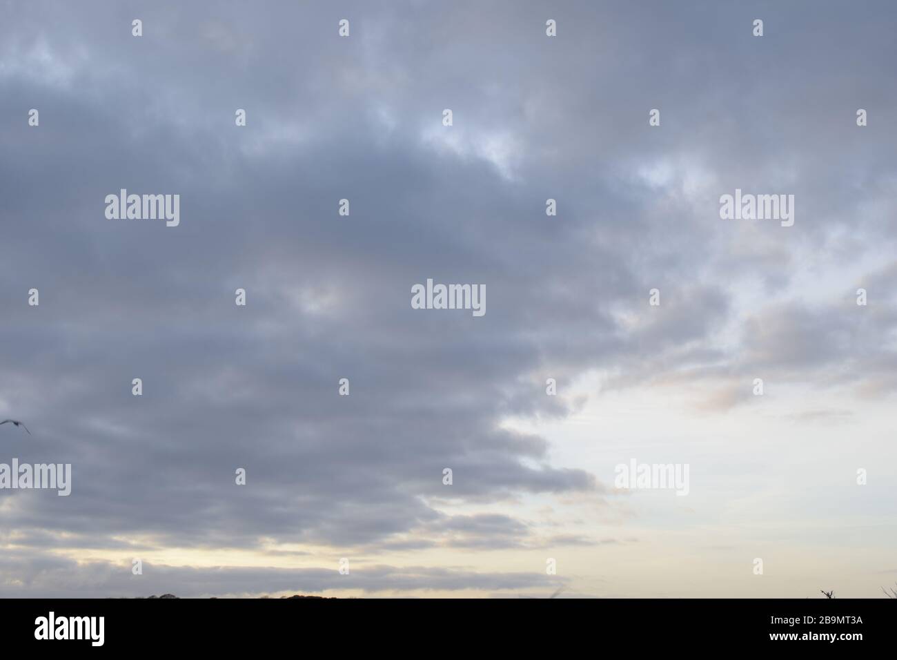 Stoke plymouth street hi-res stock photography and images - Alamy