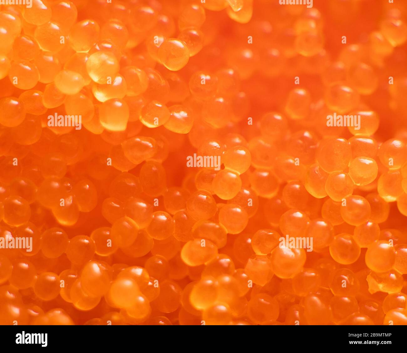 Fish used to make sushi hi-res stock photography and images - Alamy