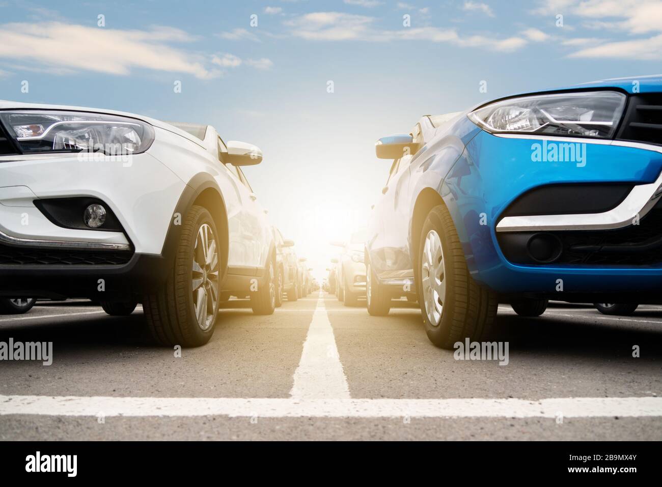 New cars in a row Stock Photo - Alamy