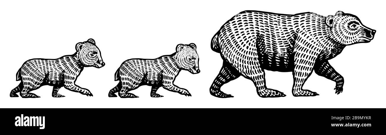 Baby brown Black and White Stock Photos & Images - Alamy