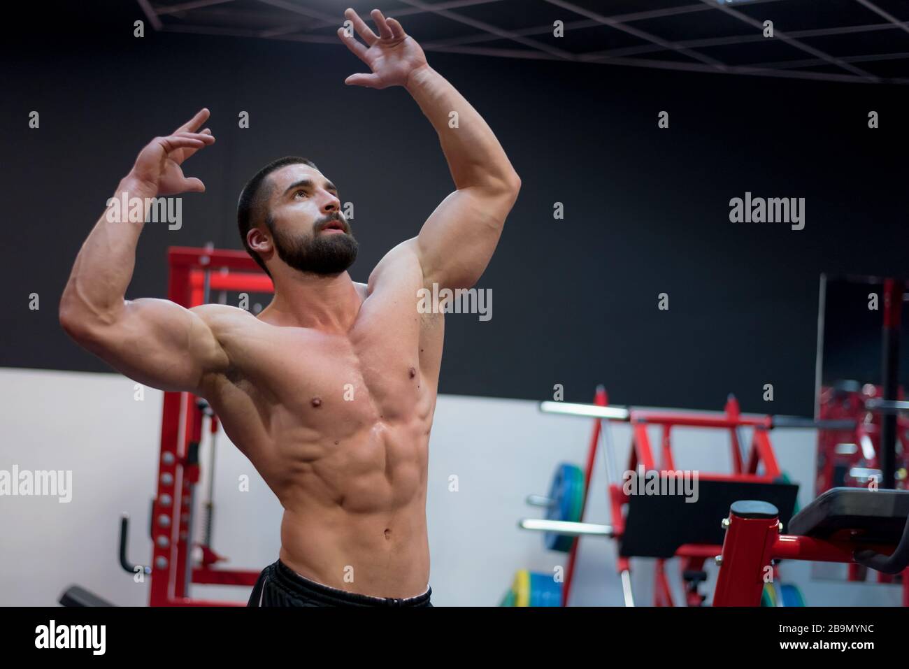 Fitness model Man posing in the gym. Handsome man with big muscles ...