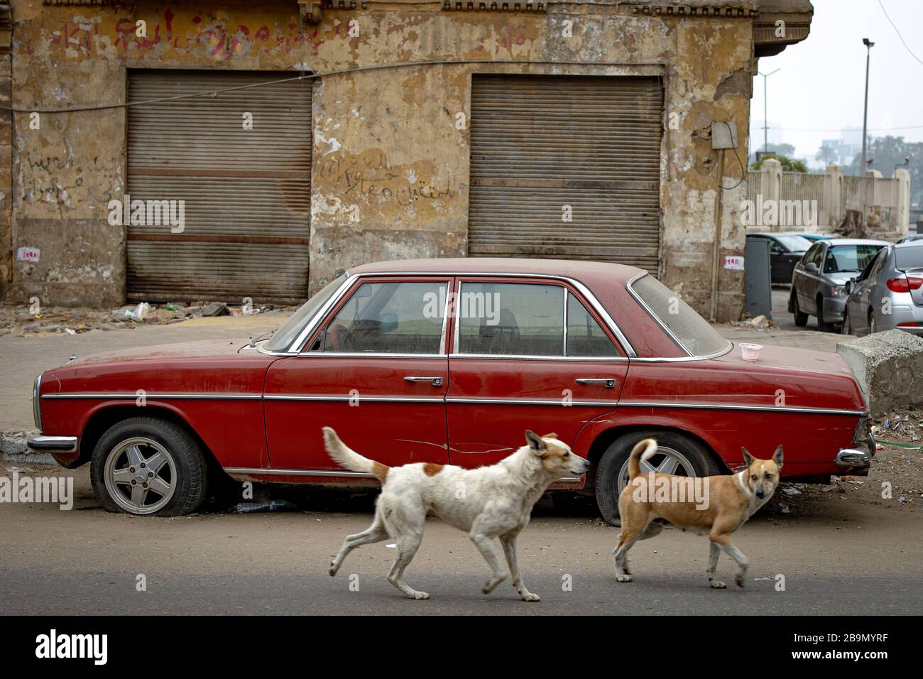 Vintage cars, Egyptian streets Stock Photo - Alamy