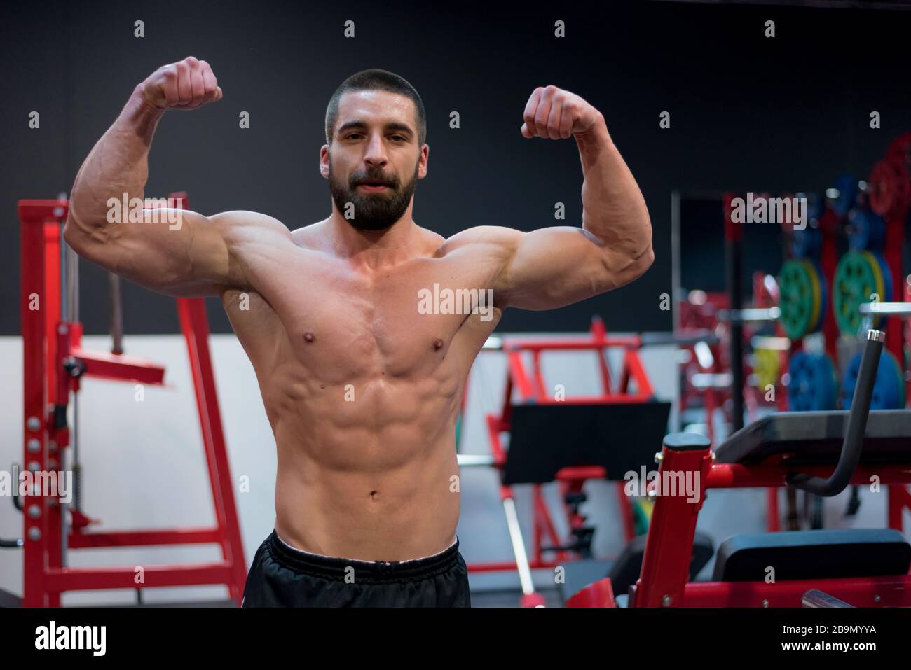 Fitness model Man posing in the gym. Handsome man with big muscles ...