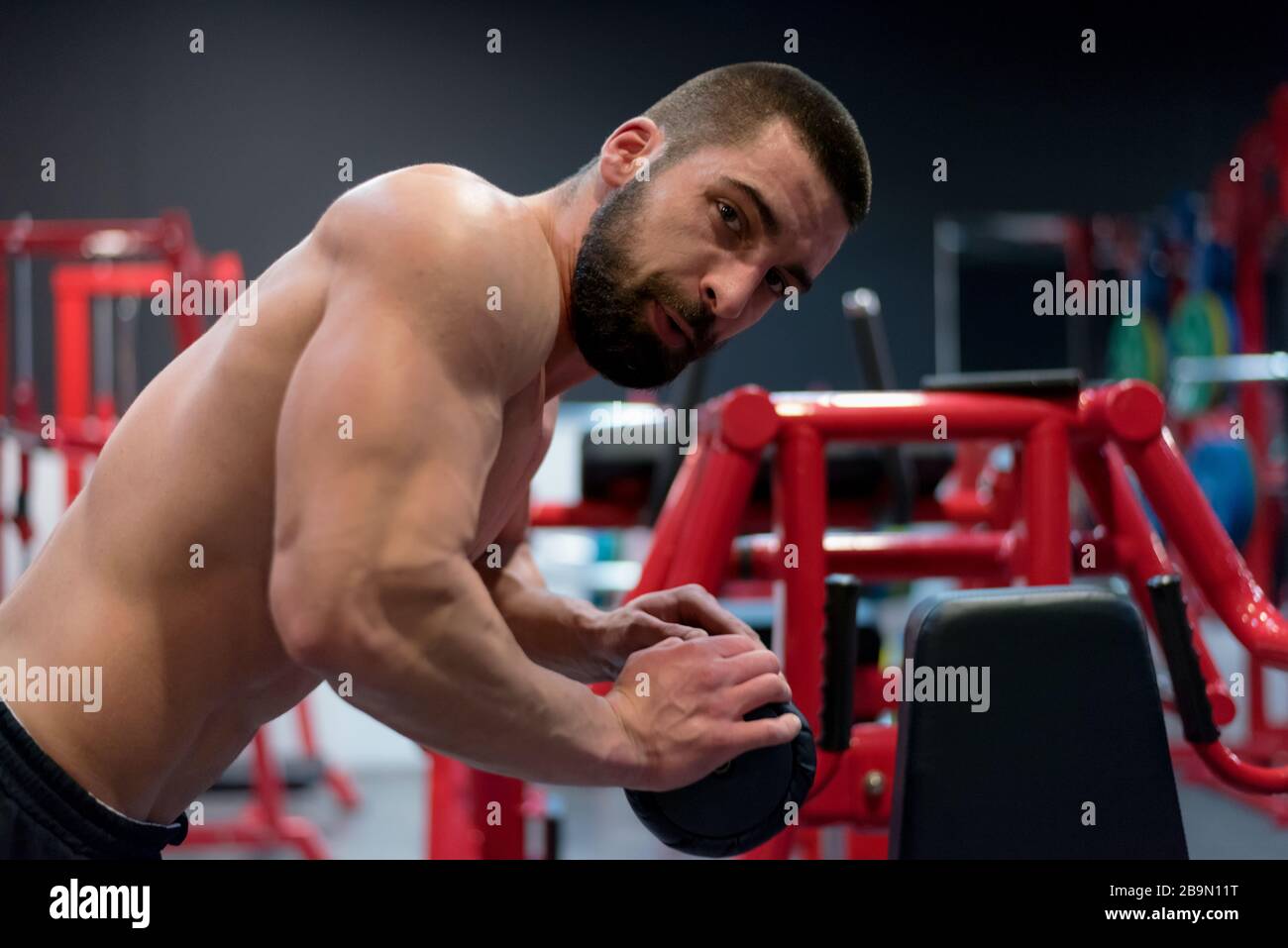 Fitness model Man posing in the gym. Handsome man with big muscles ...