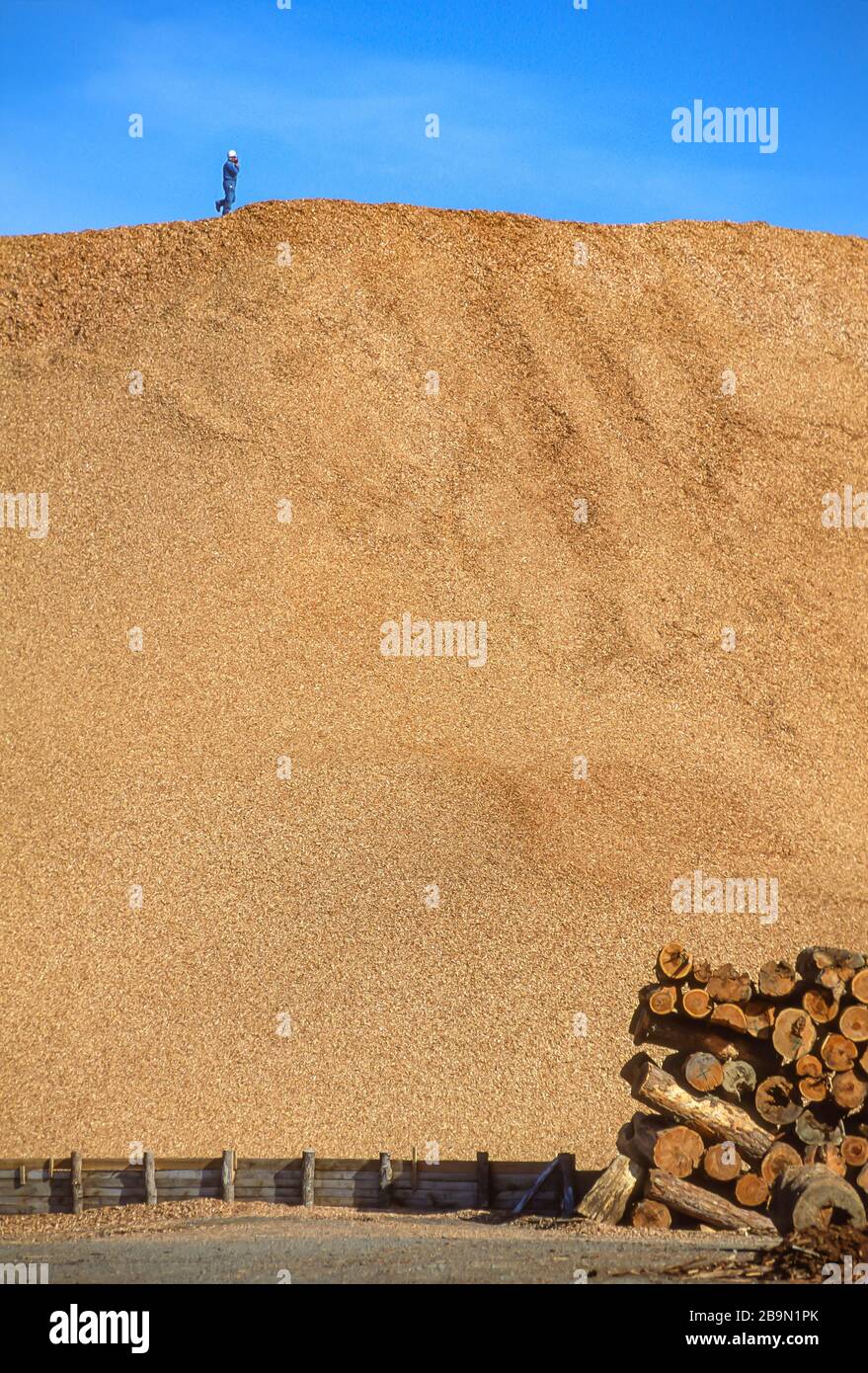 Timber industry chile hi-res stock photography and images - Alamy