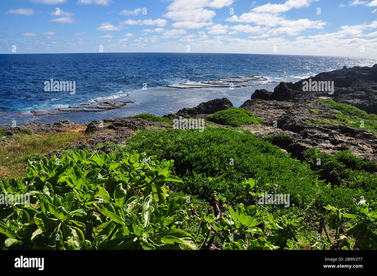 Mapu’a ‘a Vaea Blowholes Stock Photo - Alamy