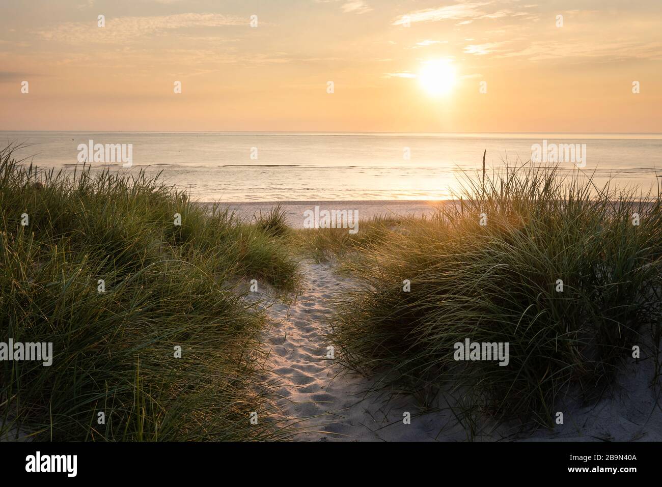Beach sunset on Sylt island at the North Sea, Germany. Sand footpath ...