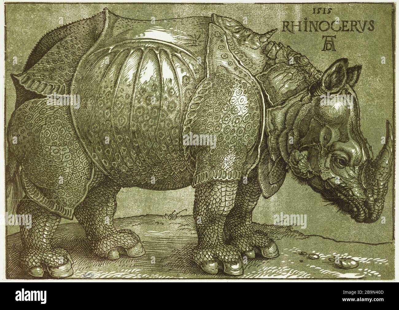Durer rhinoceros hi-res stock photography and images - Alamy