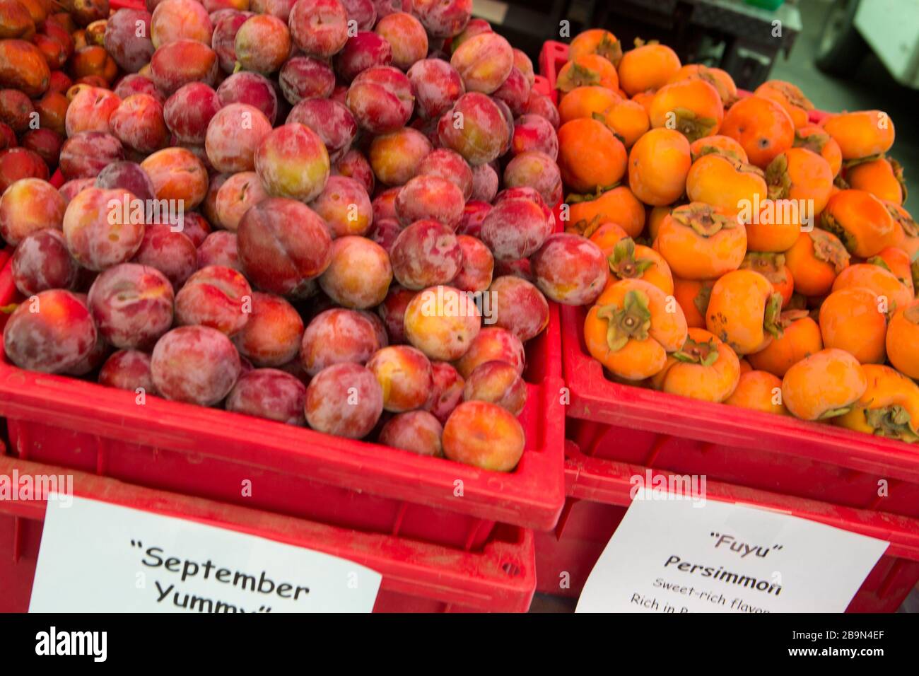 plums and persimmons, Santa Barbara Farmers Market, Santa Barbara ...