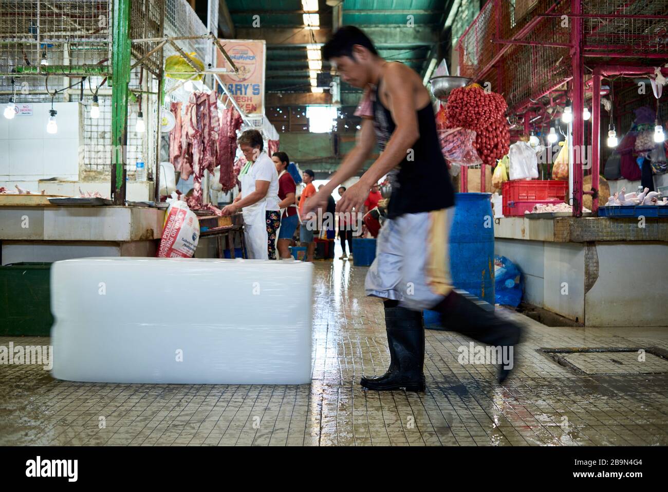 Fish frozen in ice block hi-res stock photography and images - Alamy