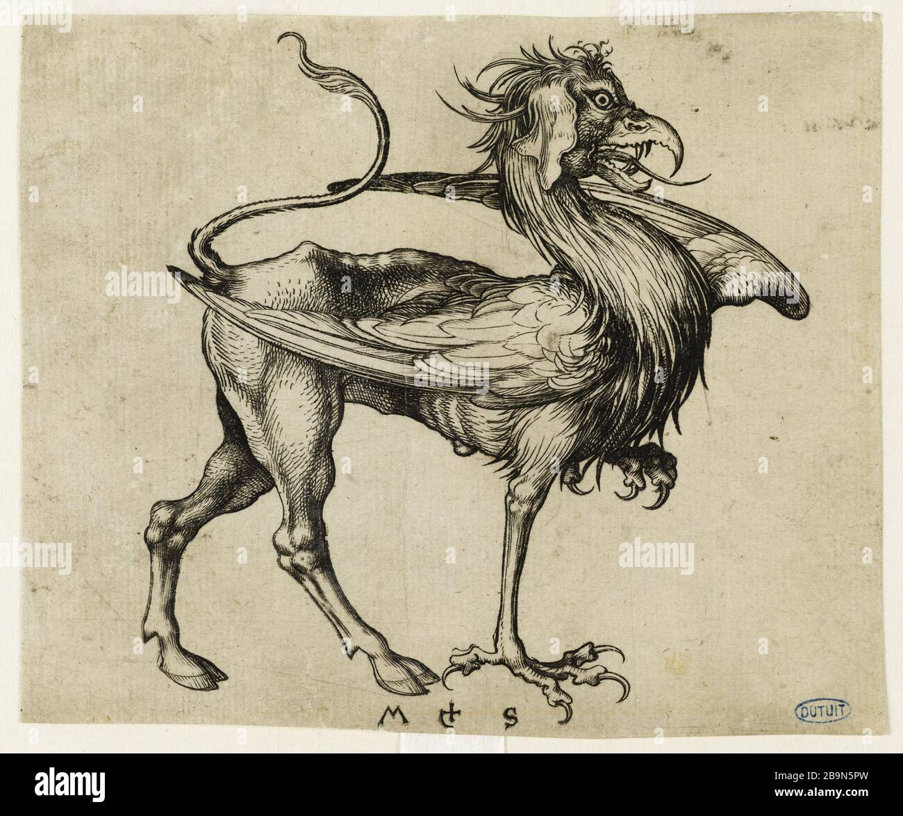Le Griffon (Bartsch 93) Martin Schongauer (vers 1450-1495). Le Griffon ...