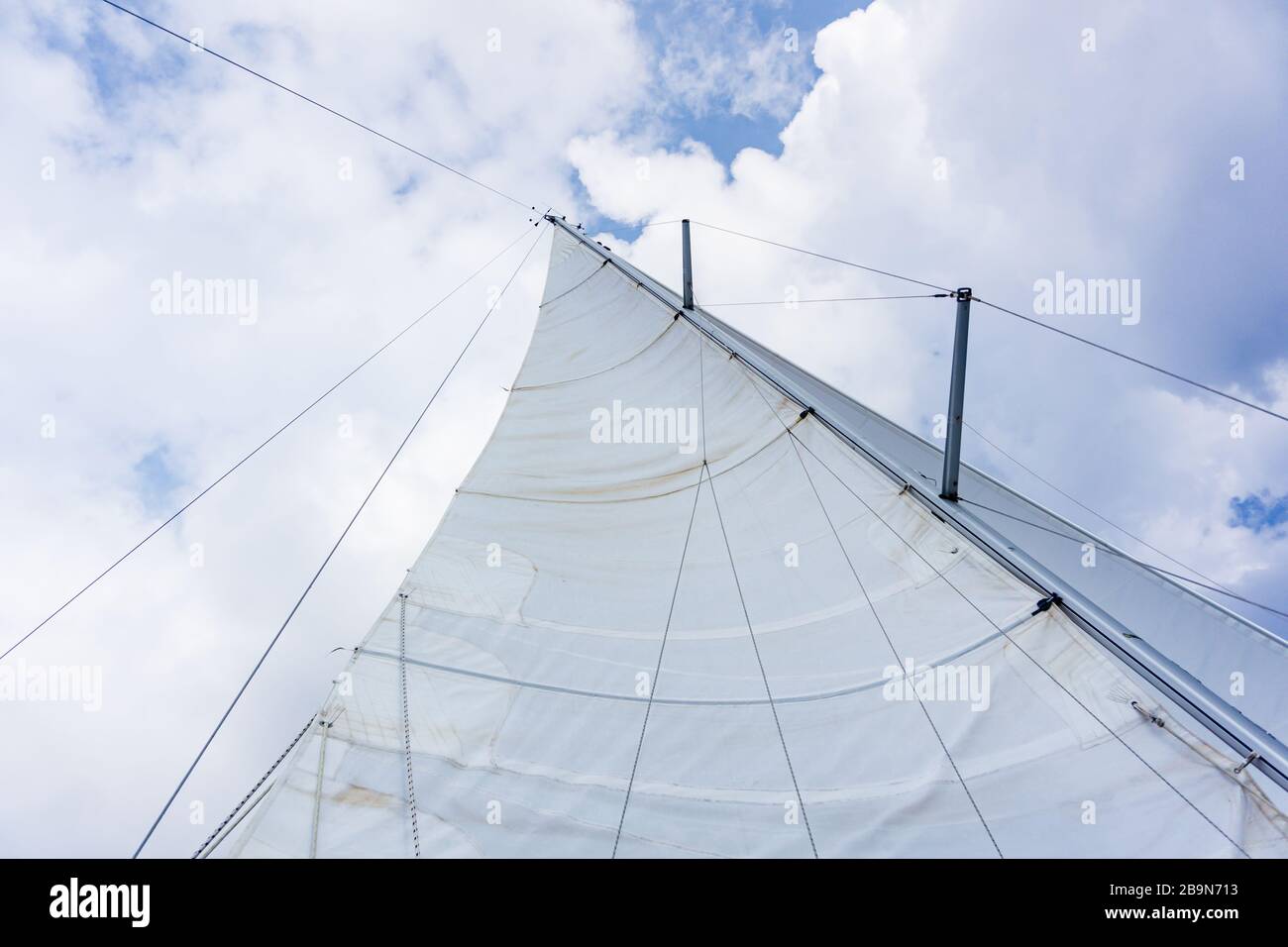 sails of a sailing yacht in the wind Stock Photo - Alamy