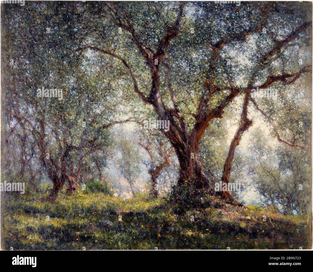 Olive trees in Menton Henry Brokman (1868-1933) "Les oliviers à Menton ...