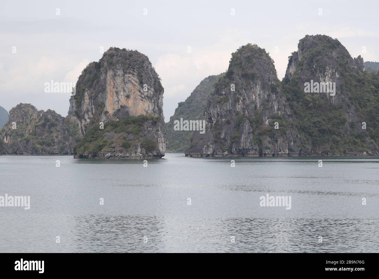 LARGE TOWERING LIMESTONE ISLANDS TOPPED BY RAIN FOREST IN HALONG BAY ...