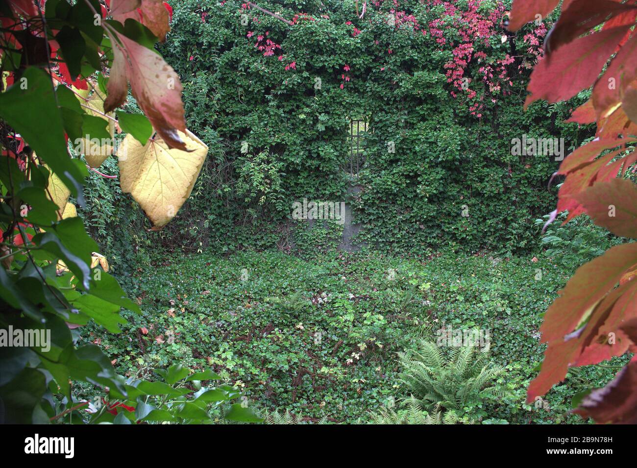 Overgrown vertical hi-res stock photography and images - Alamy
