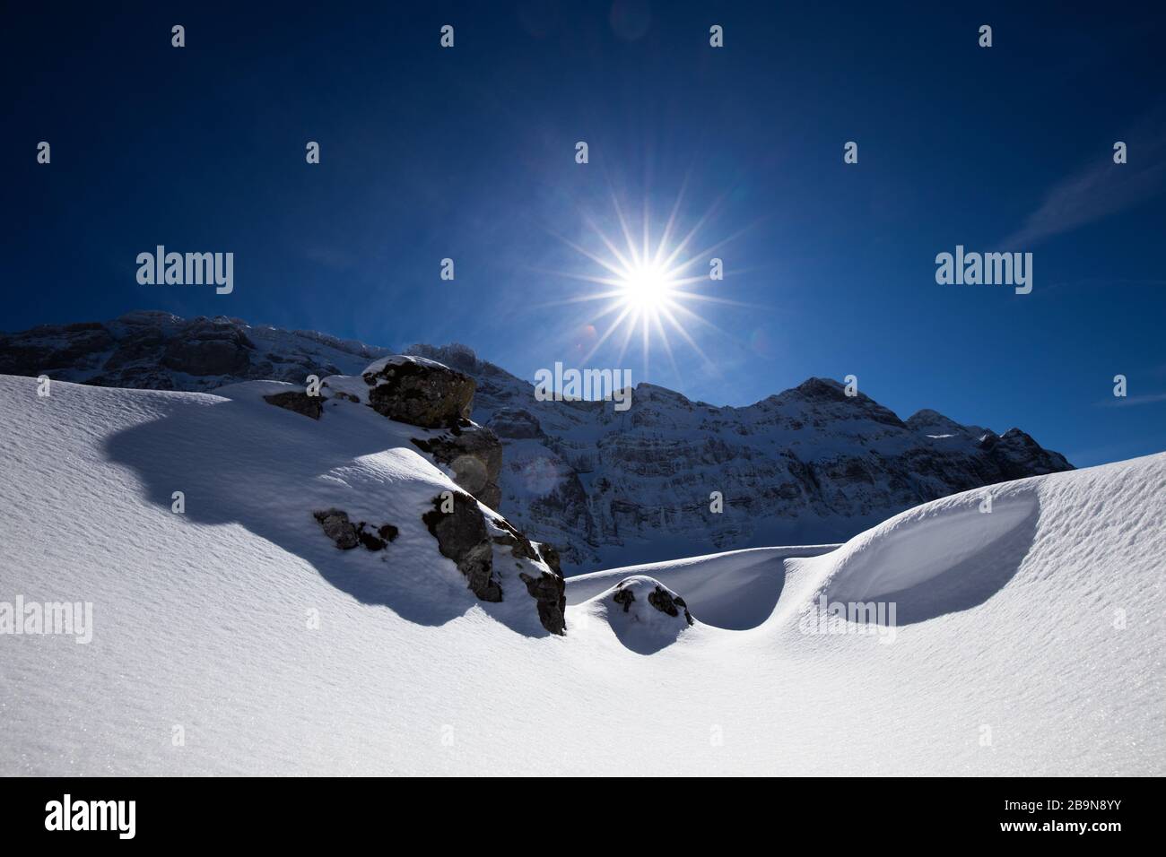 Awesome winter landscape with spruces covered in snow. Frosty day ...