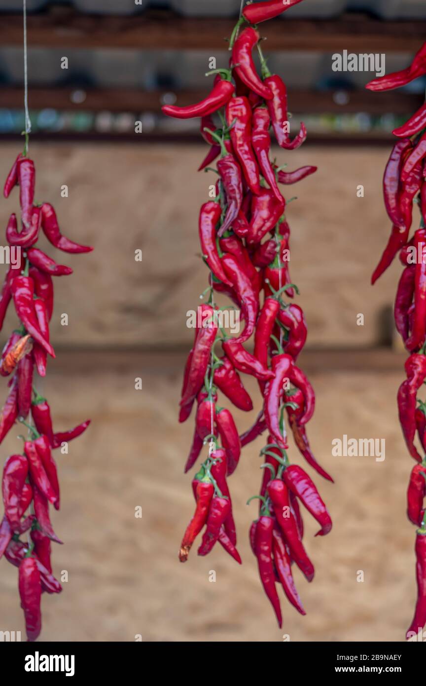 Red hot chili peppers hanging on a three ropes Stock Photo - Alamy