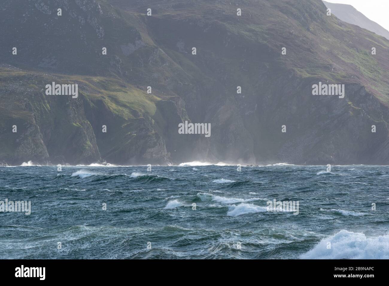 Pollan hi-res stock photography and images - Alamy