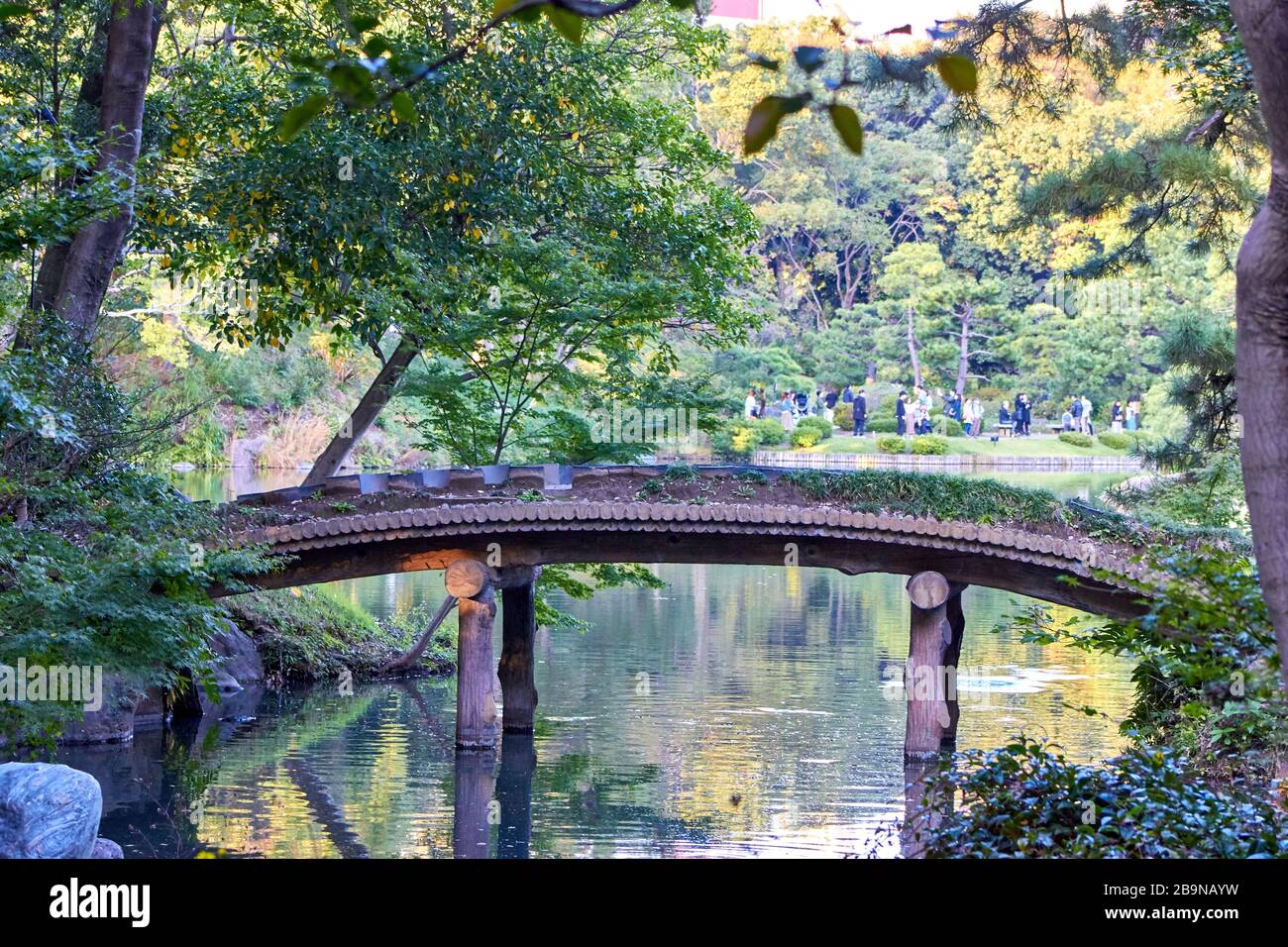 Wooden bridge in the Japanese style garden Stock Photo - Alamy