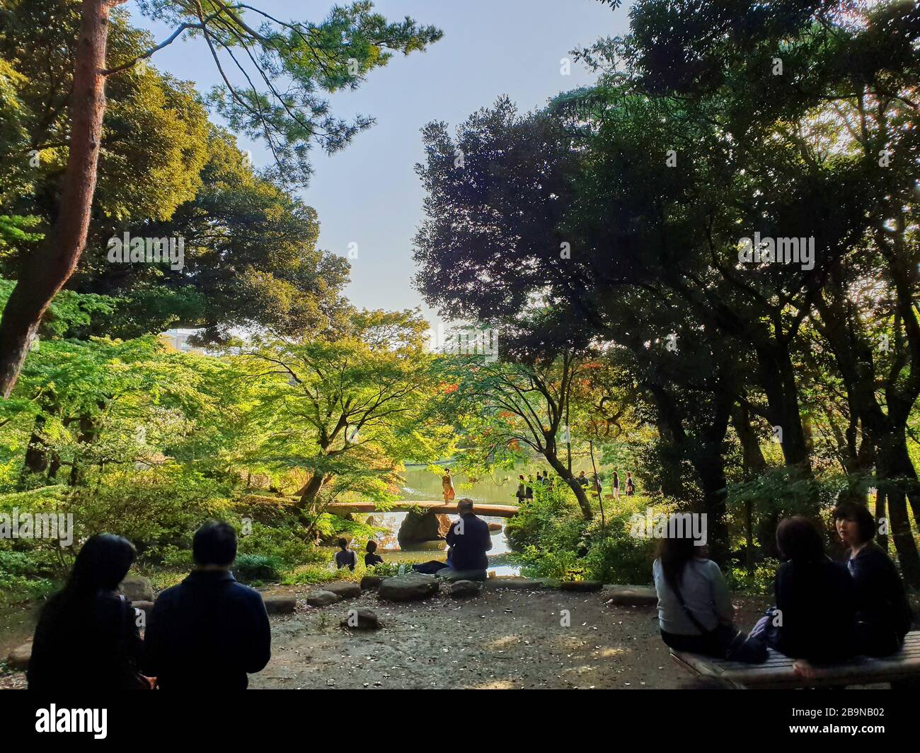 People enjoying the view hi-res stock photography and images - Alamy